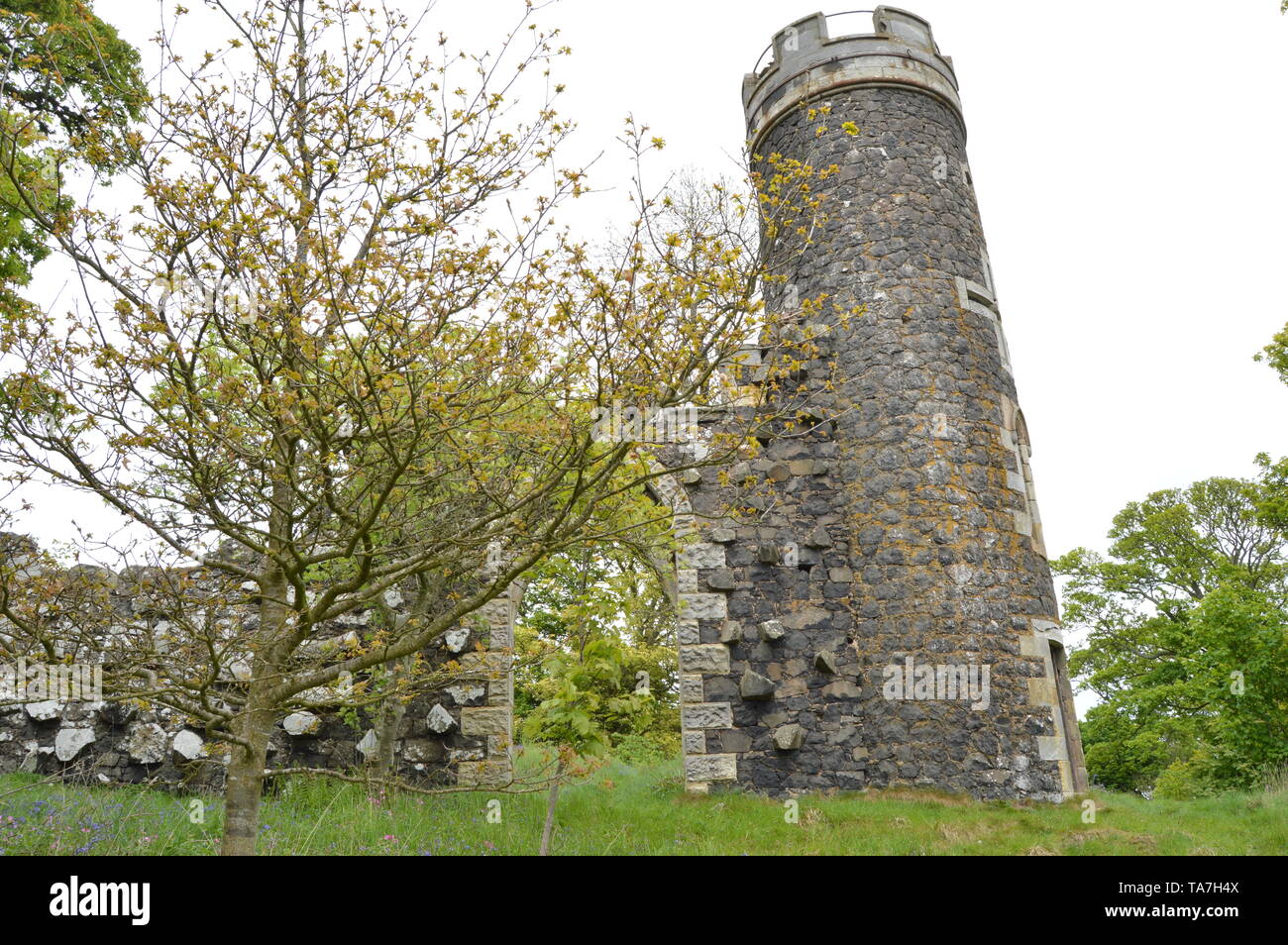 Balcarres tower hi-res stock photography and images - Alamy