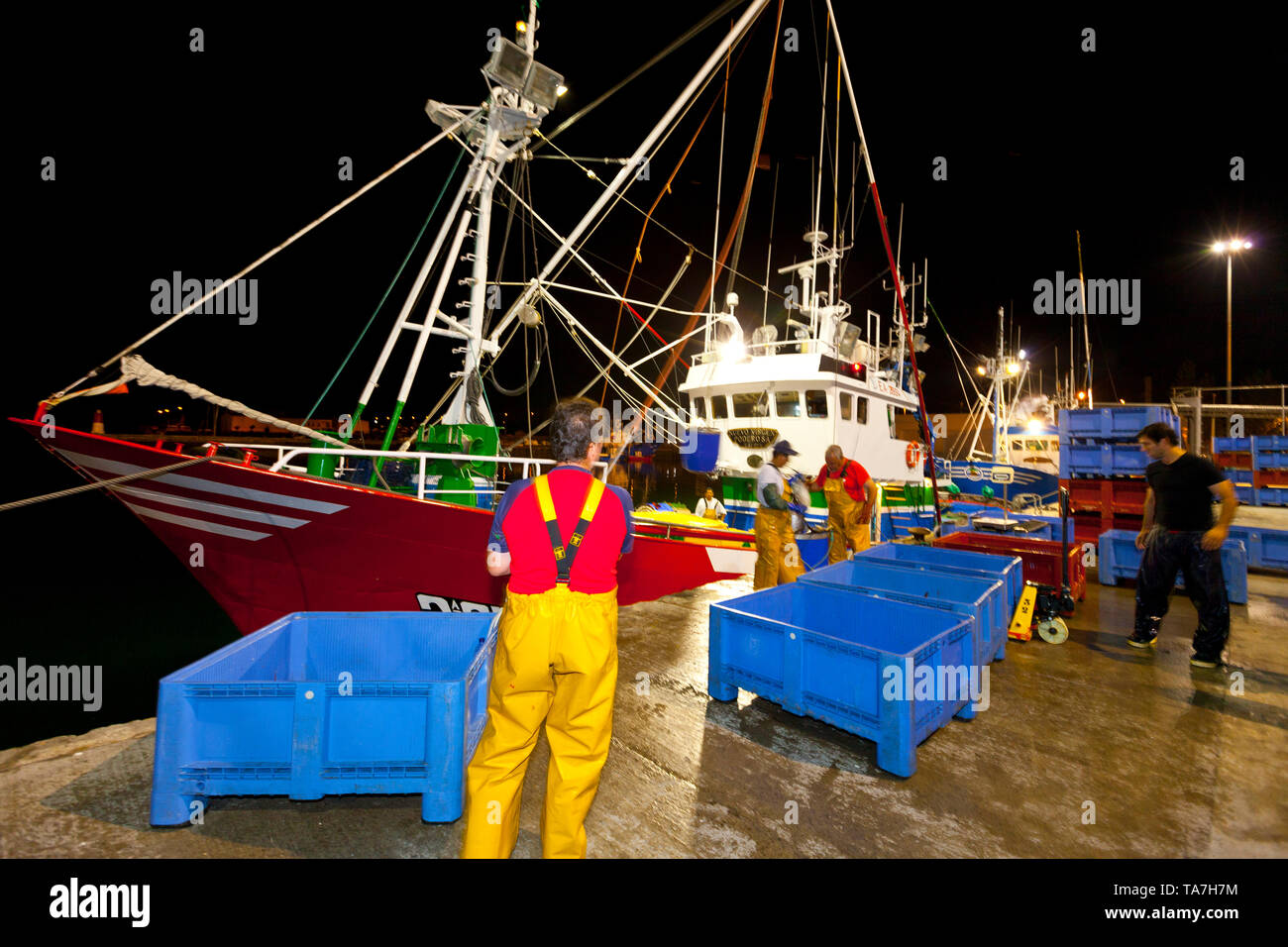 Albacore bonito del norte hi-res stock photography and images - Alamy