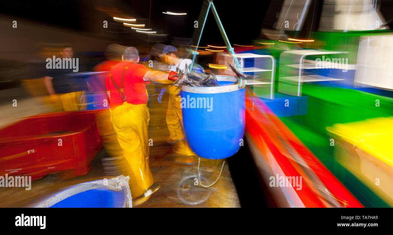 Albacore bonito del norte hi-res stock photography and images - Alamy