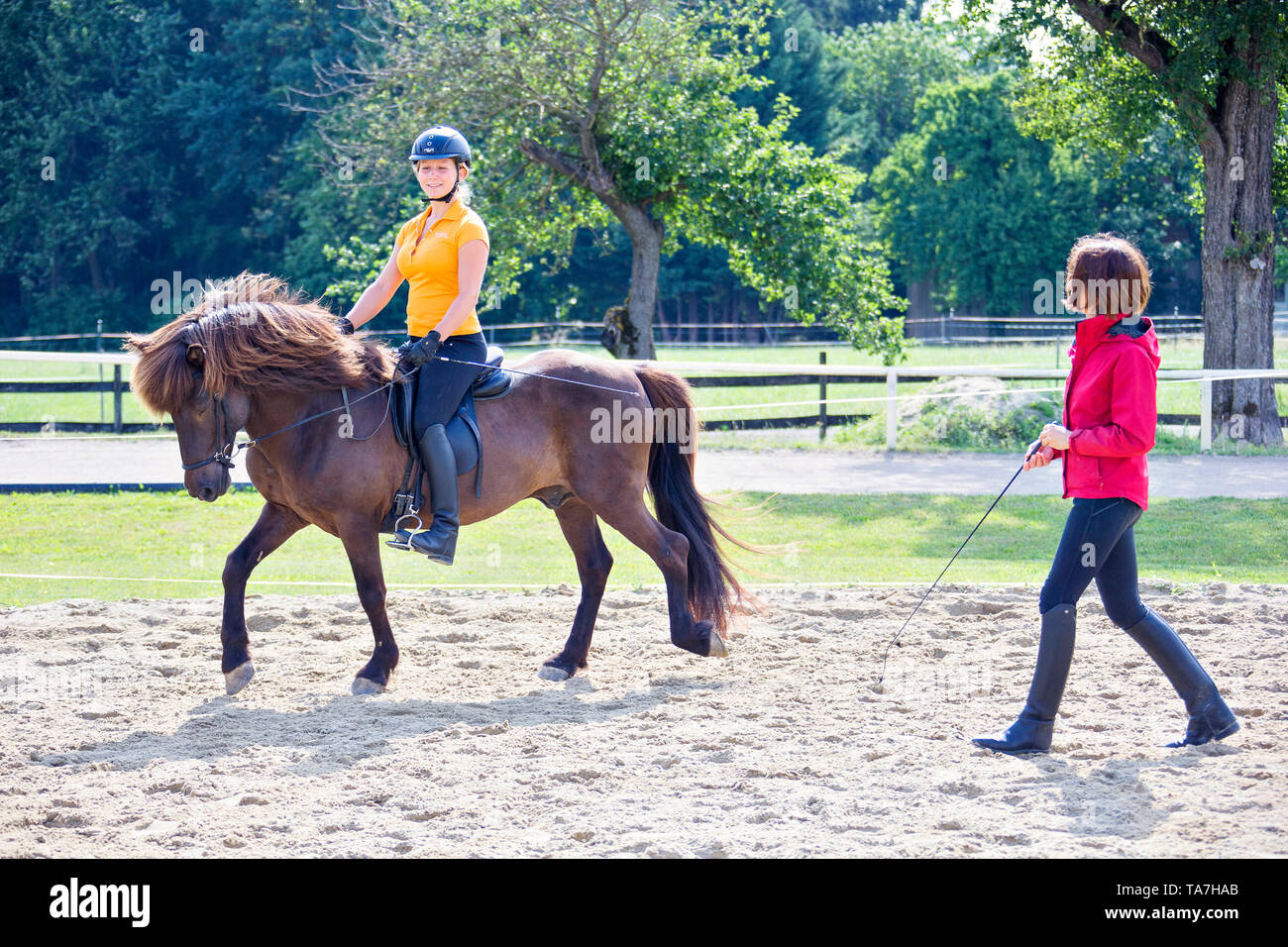 Girl riding bay dressage horse hi-res stock photography and images - Alamy