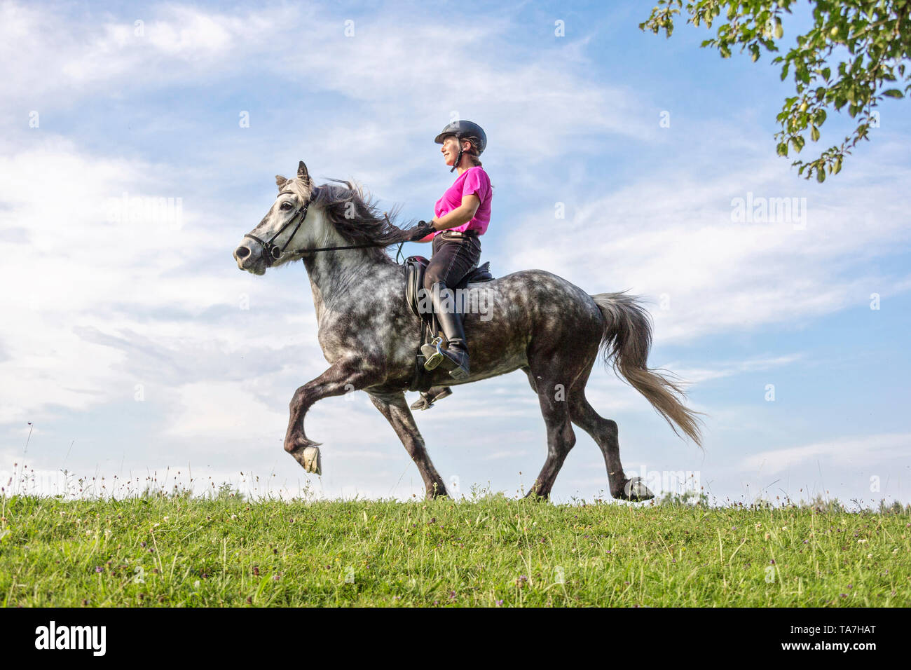 Grey helmet hi-res stock photography and images - Alamy