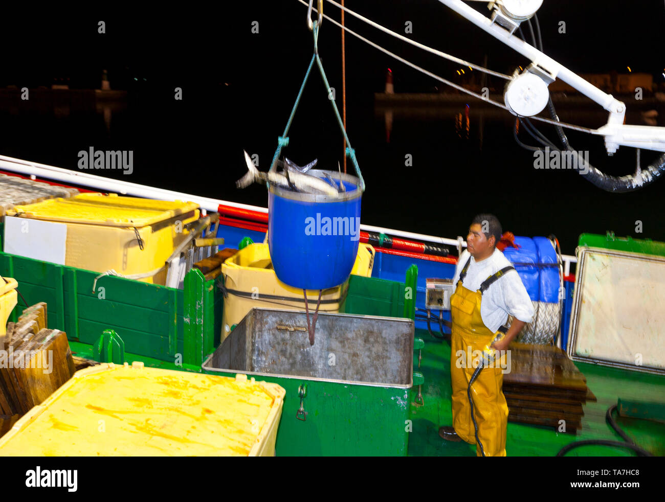 Albacore bonito del norte hi-res stock photography and images - Alamy