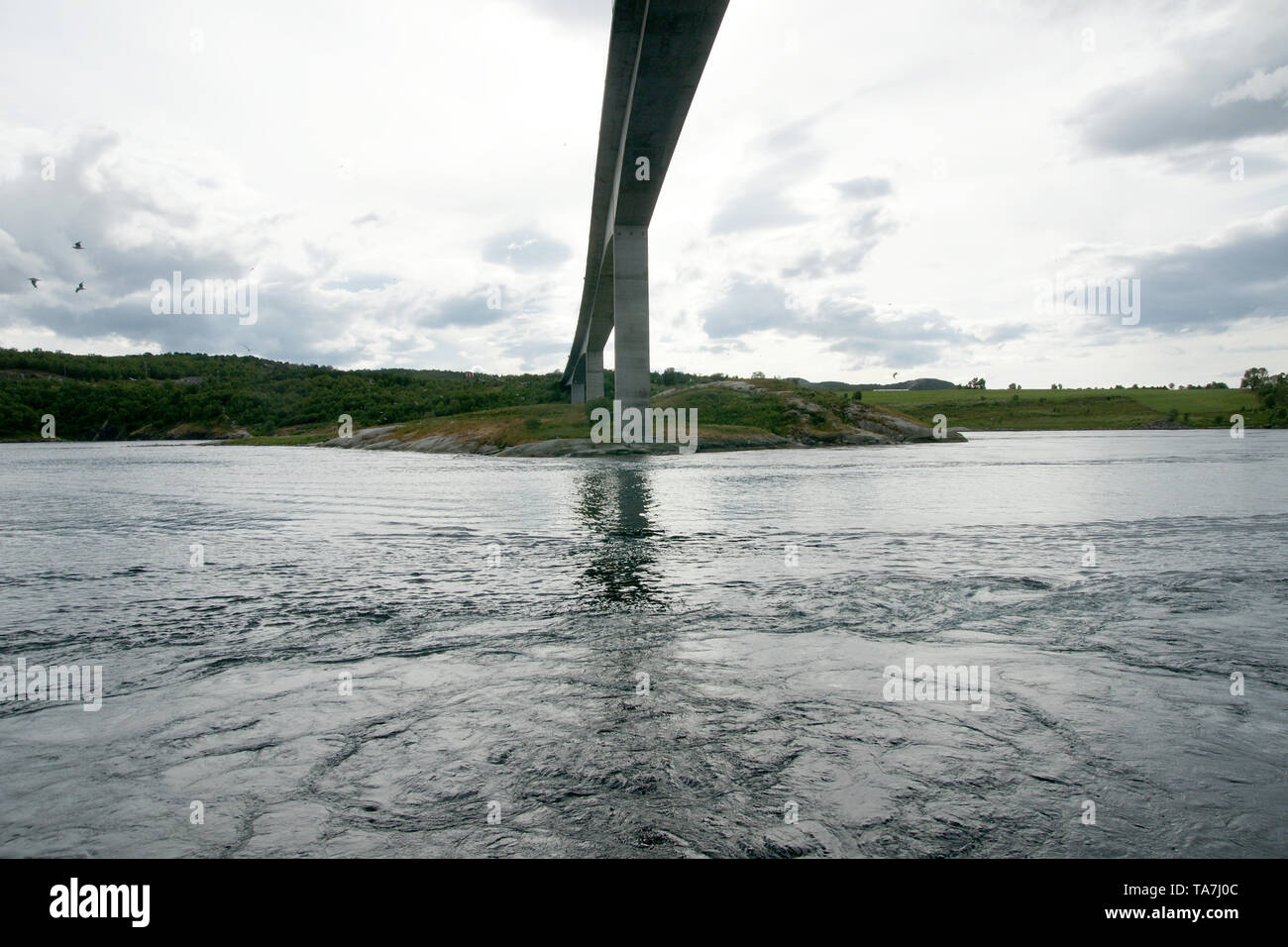 under the bridge at saltstraumen in norway Stock Photo - Alamy