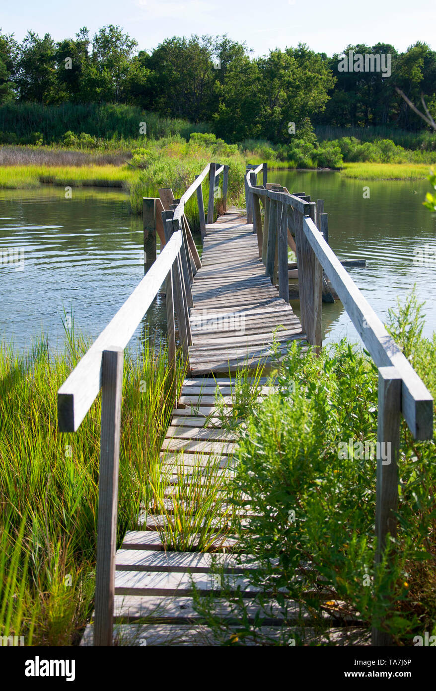 Tangier Island, Virginia Stock Photo - Alamy