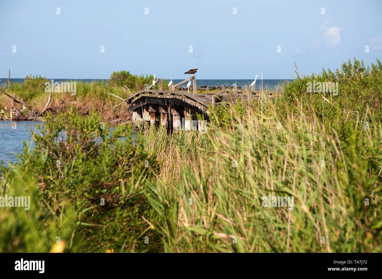Tangier Island, Virginia Stock Photo - Alamy