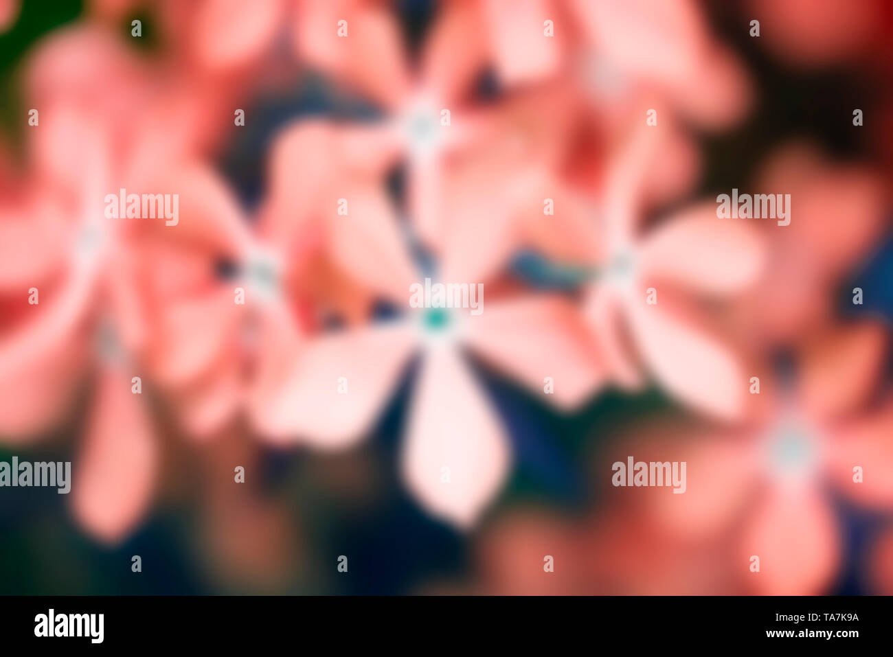 Blurred defocused background with flowers Stock Photo - Alamy