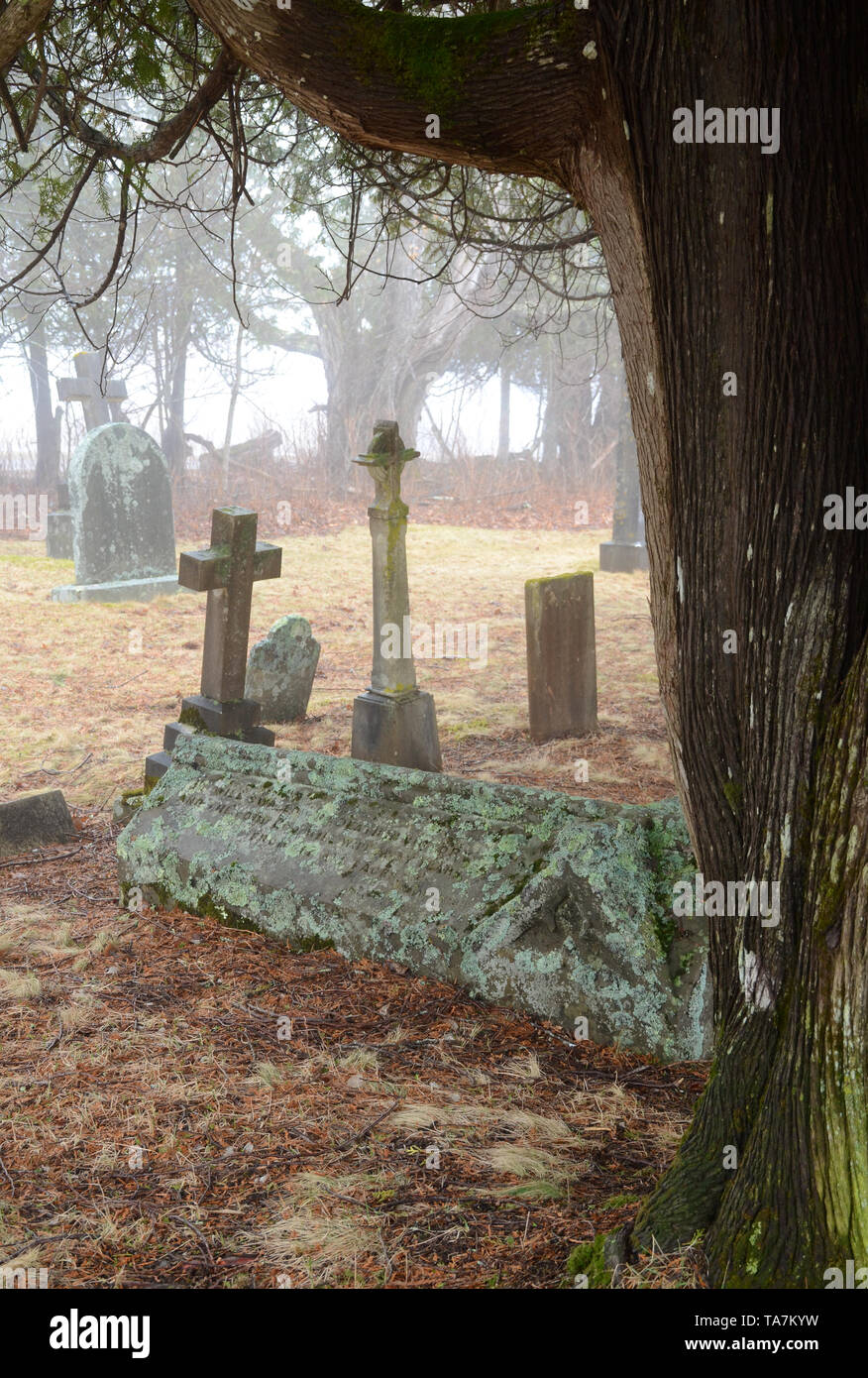 Cemetery in mist Stock Photo - Alamy