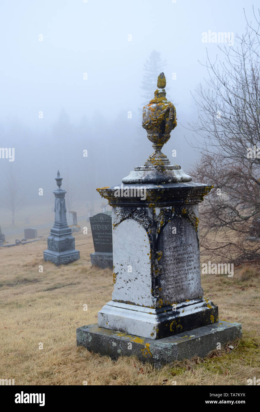 Cemetery in mist hi-res stock photography and images - Alamy