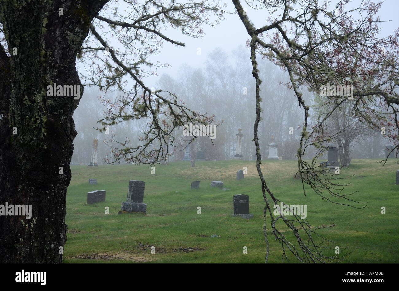 Cemetery in mist hi-res stock photography and images - Alamy