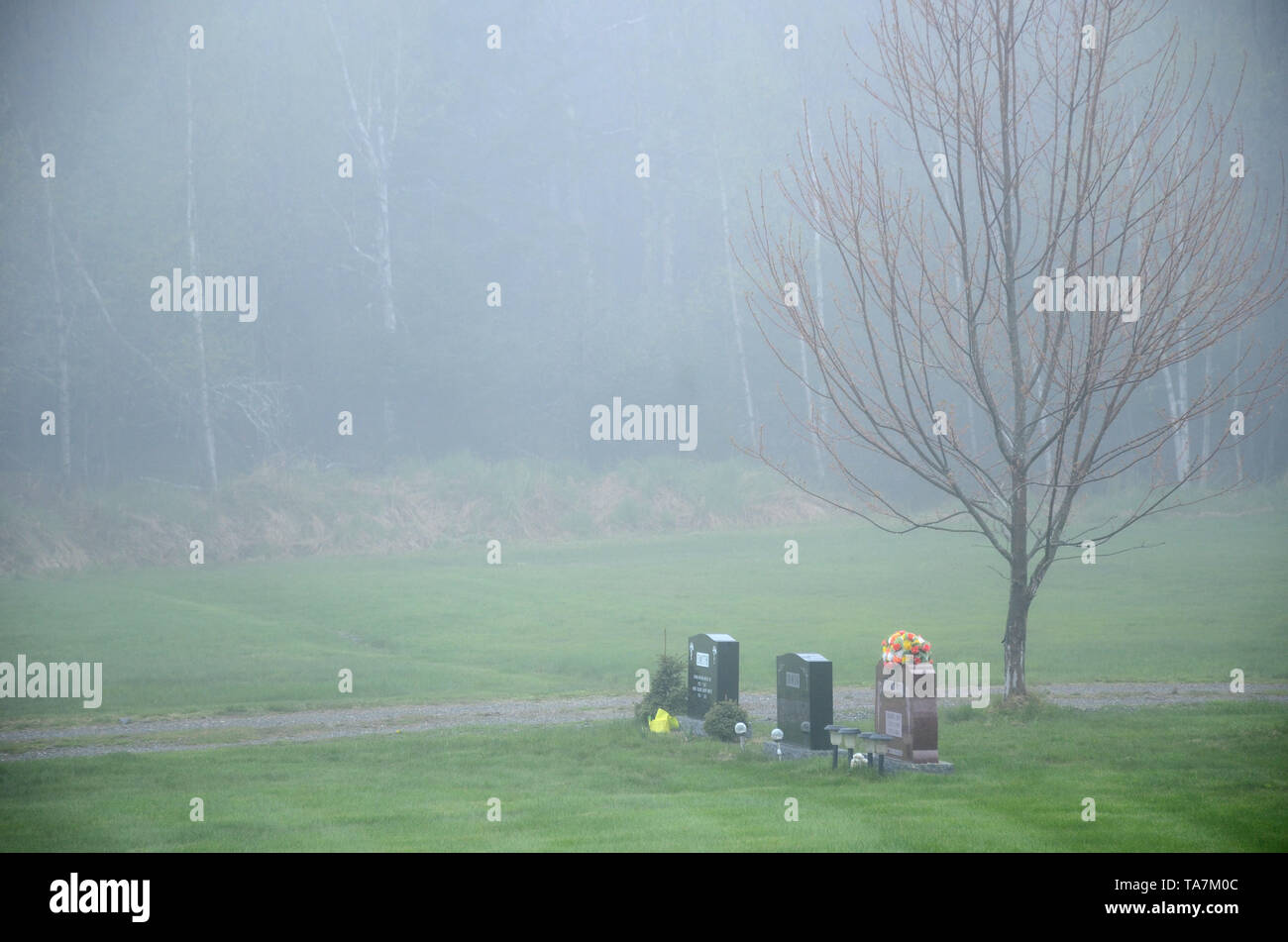 Cemetery in mist hi-res stock photography and images - Alamy