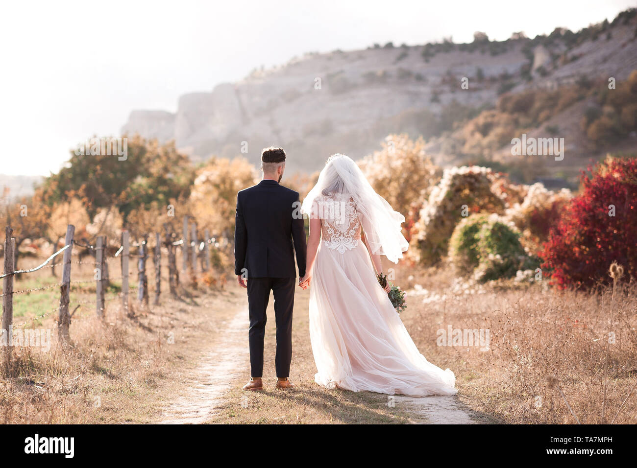 Bride and groom back view hi-res stock photography and images - Alamy