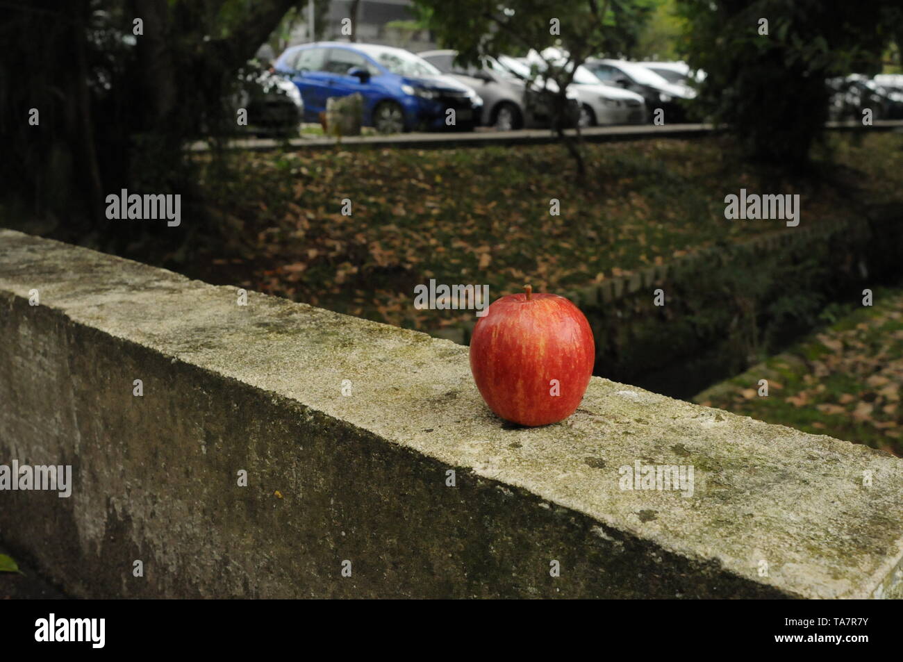 Blog background hi-res stock photography and images - Alamy