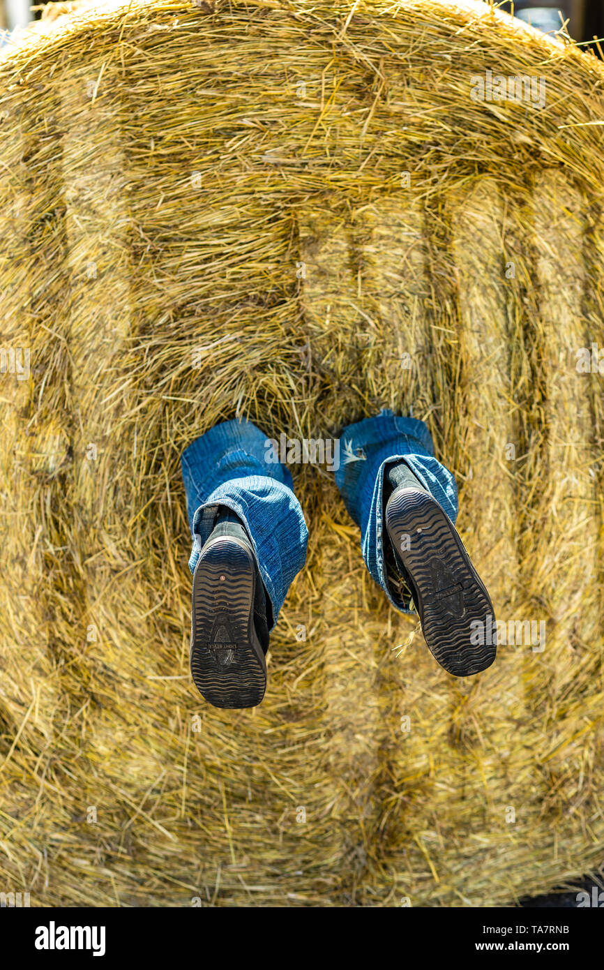 Hay bale legs hi-res stock photography and images - Alamy