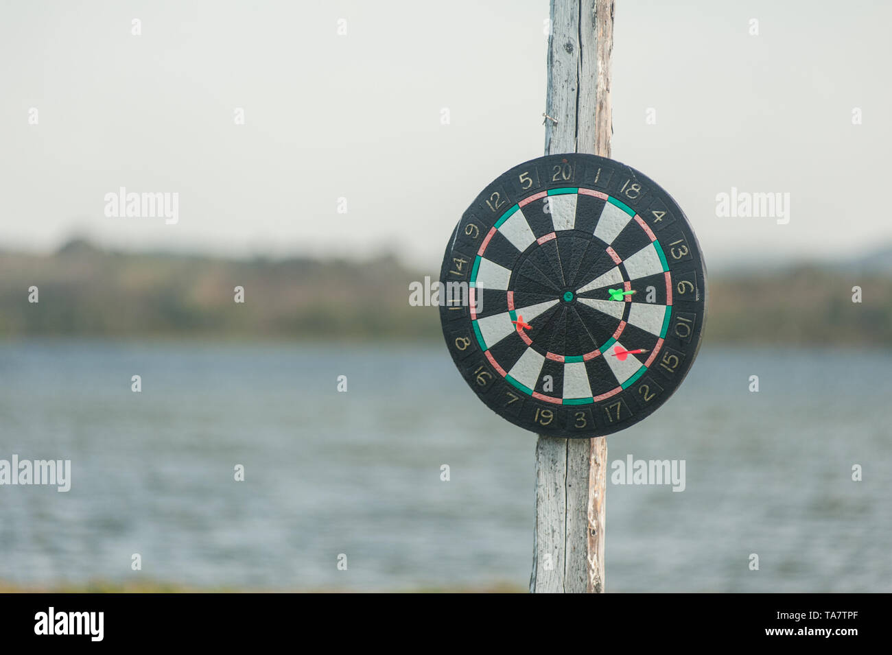 darts at the nature Stock Photo - Alamy