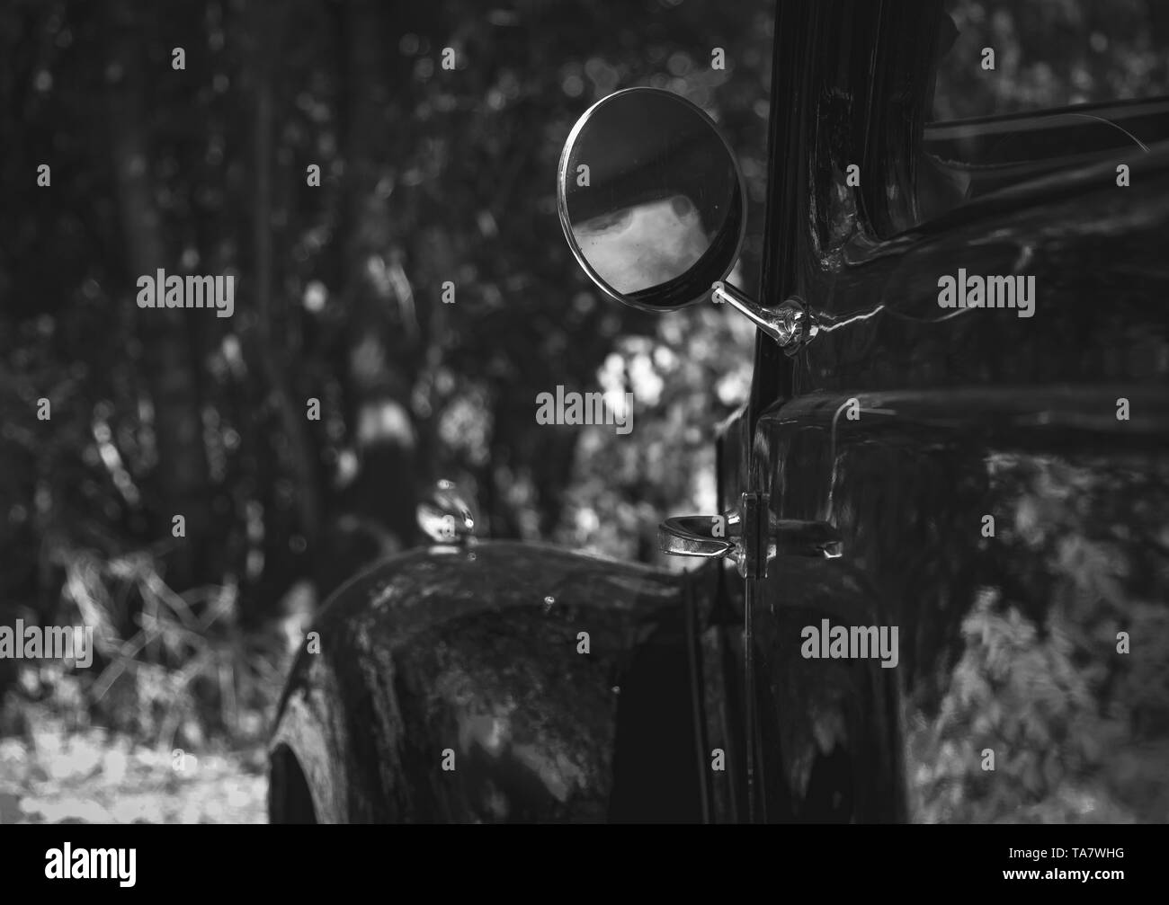 Black and white picture of old timer in the woods Stock Photo - Alamy