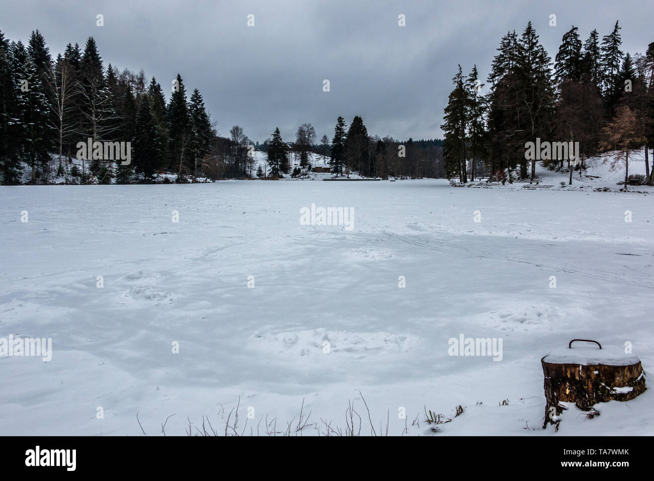 Ice age landscape hi-res stock photography and images - Alamy