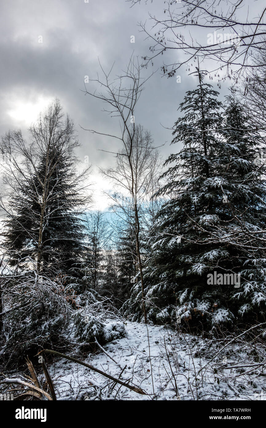 Eis clearing hi-res stock photography and images - Alamy