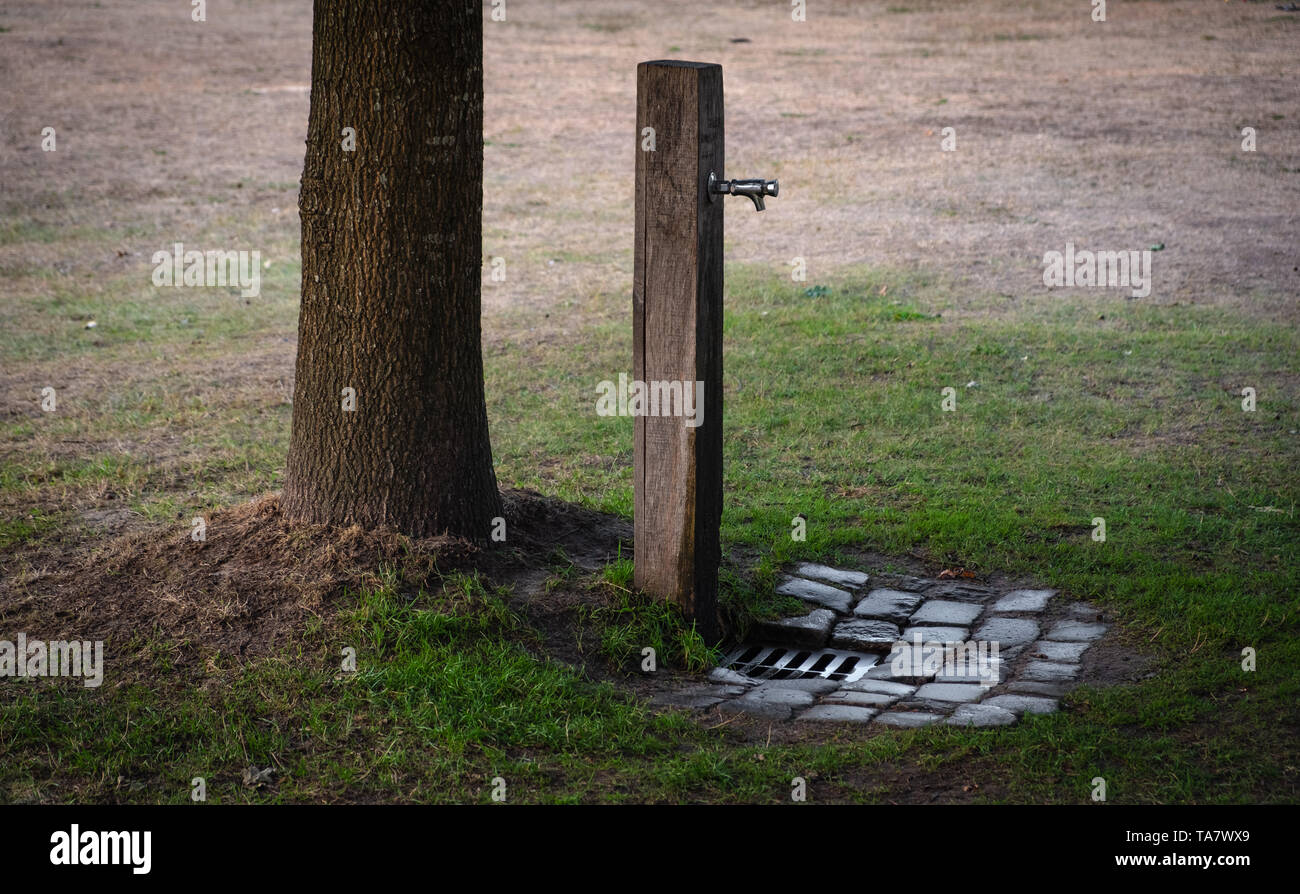 landscape Dutch nature water trees sunset netherlands Stock Photo - Alamy