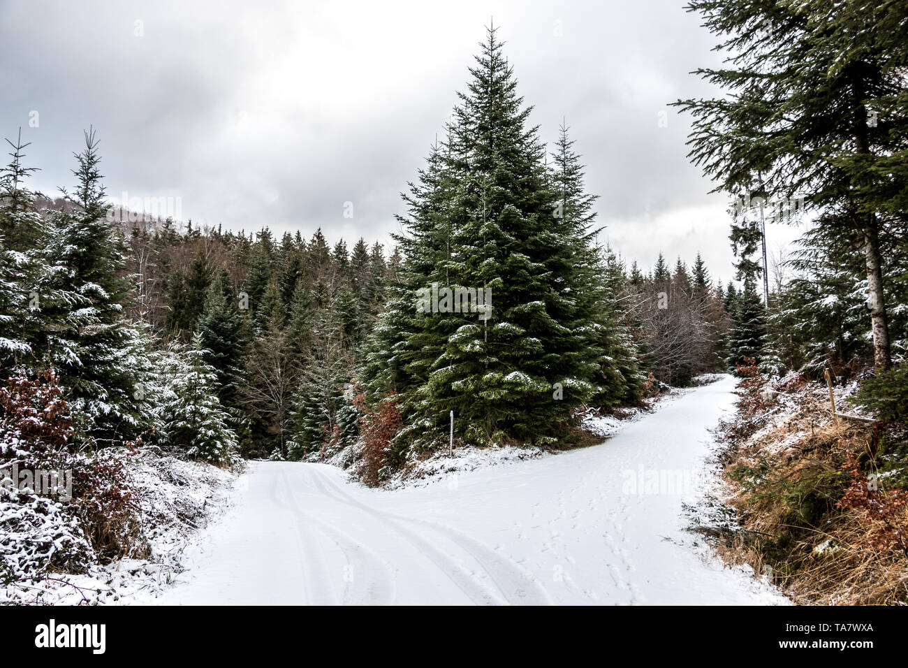 Crossroads in the snow hi-res stock photography and images - Alamy