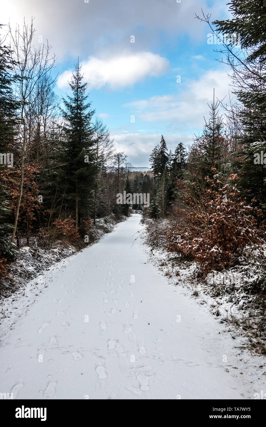Ice age stone in winter forest hi-res stock photography and images - Alamy