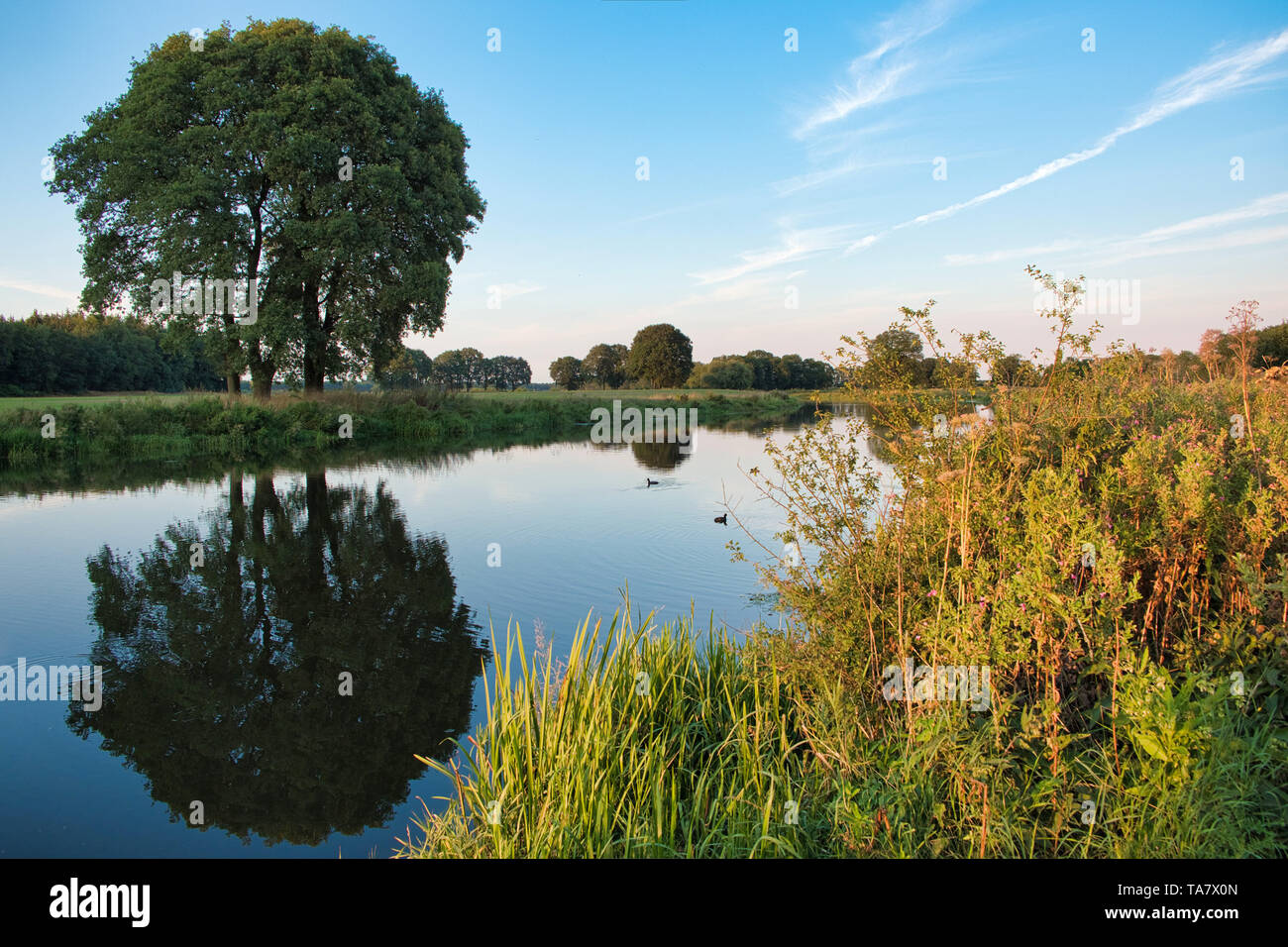 landscape Dutch nature water trees sunset netherlands Stock Photo - Alamy