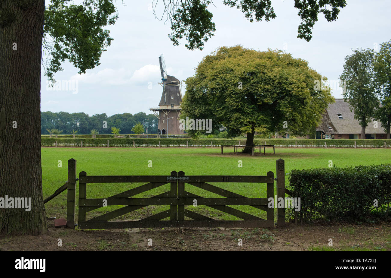 landscape Dutch nature water trees sunset netherlands Stock Photo - Alamy