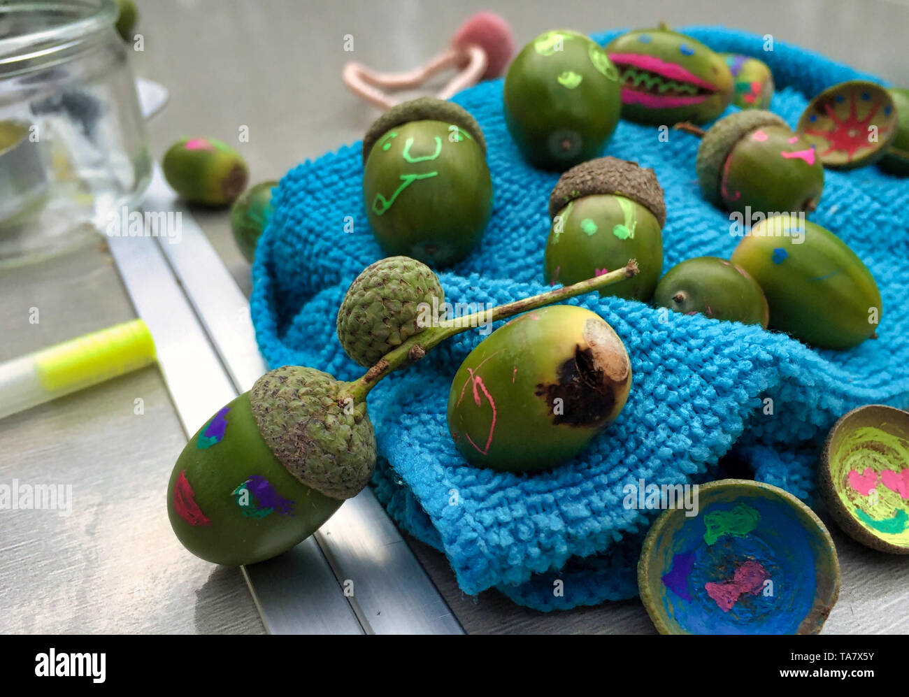 Shiny acorn hi-res stock photography and images - Alamy