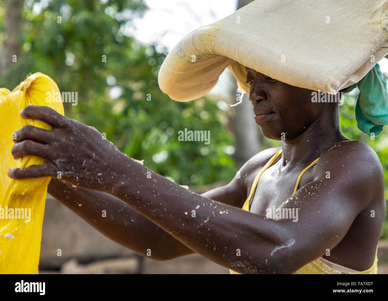 African woman putting attiéké in bags, Région des Lacs, Sakiare, Ivory ...