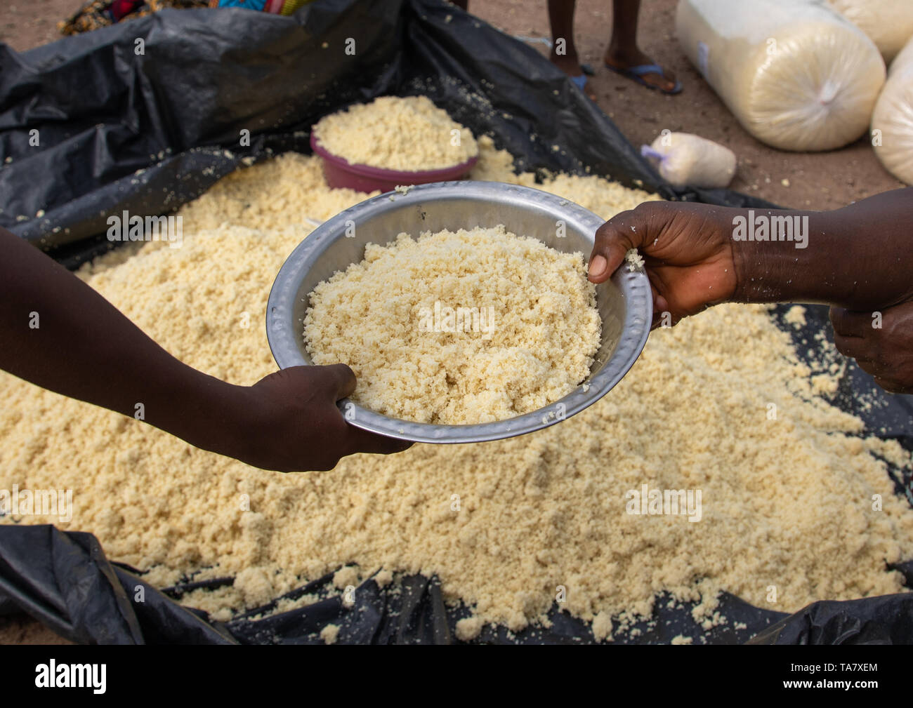 African women making attiéké, Région des Lacs, Sakiare, Ivory Coast ...