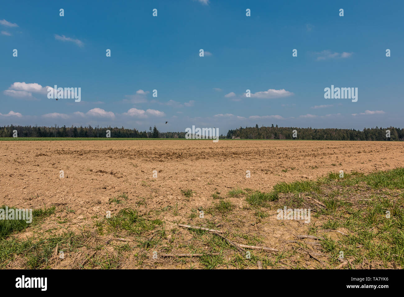 Big fields in the middle of the german countryside with hills, forests ...