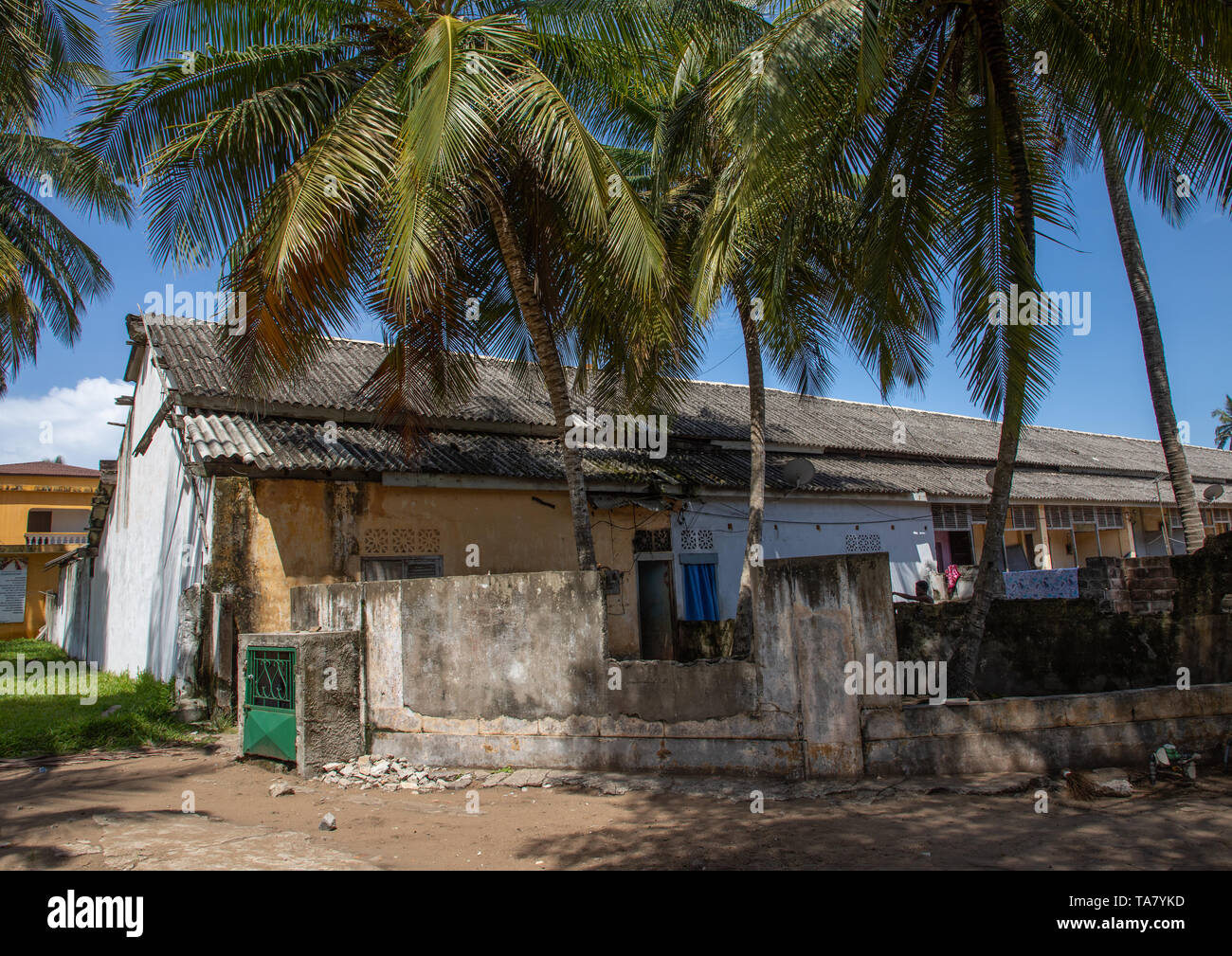 Ivory coast palm tree hi-res stock photography and images - Alamy