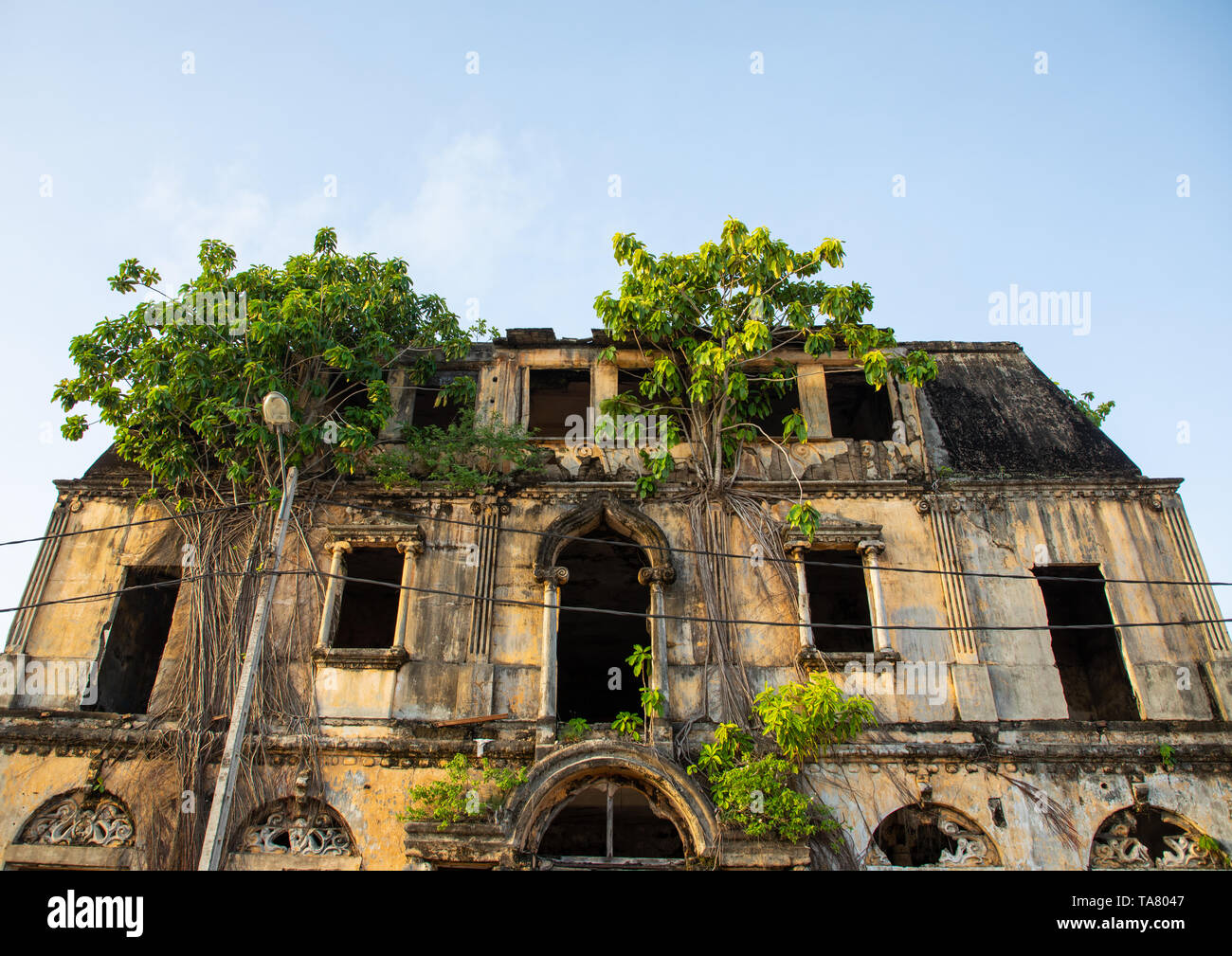 Ivory2993 hi-res stock photography and images - Alamy