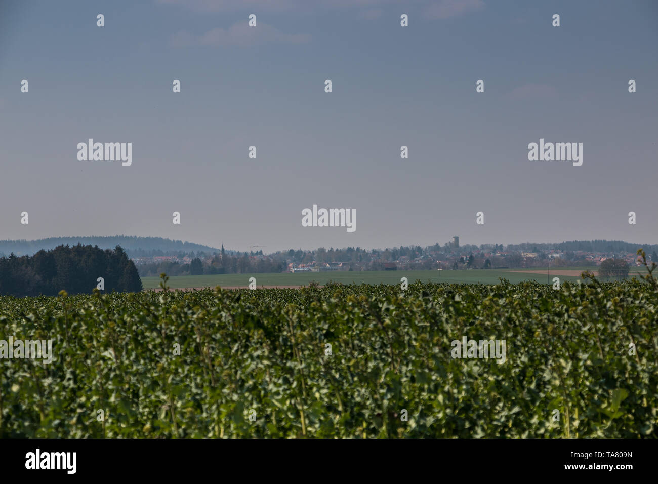 Big grainfields in the middle of the german countryside with hills ...