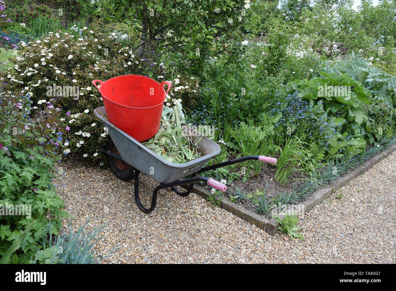 Garden equipment for planting and weeding in garden setting Stock Photo ...