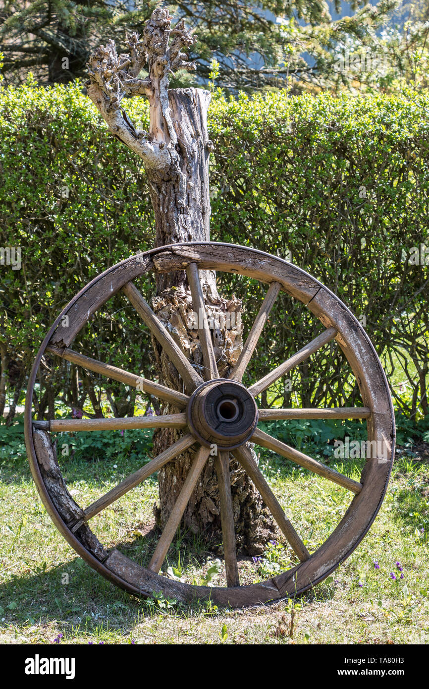 Wooden wheel of a mail coach in the green garden Stock Photo - Alamy