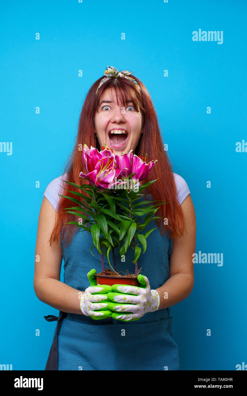 Photo of screaming brunette woman with lilies on empty blue background ...