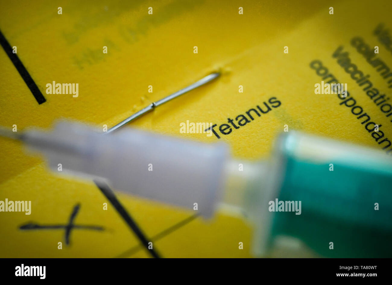 Tetanus, vaccination book, symbolic photo vaccination, Impfbuch ...