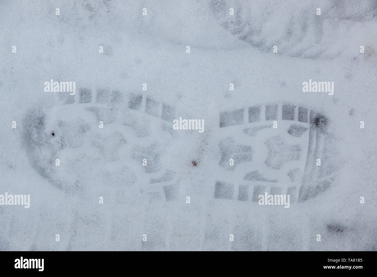 Foot print of a human shoe on the white snow Stock Photo - Alamy