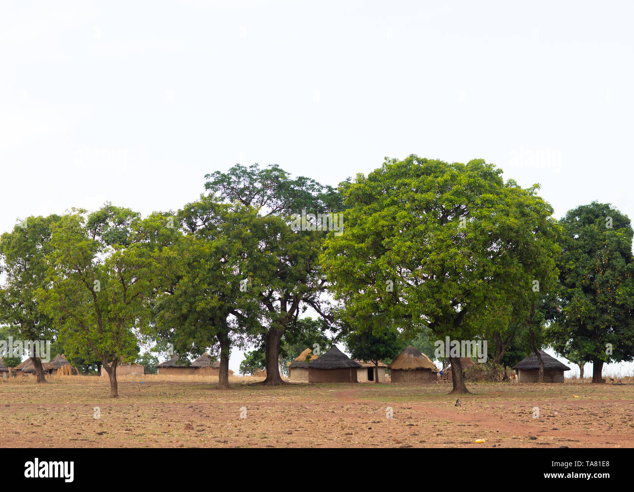 African tree huts in rural hi-res stock photography and images - Alamy