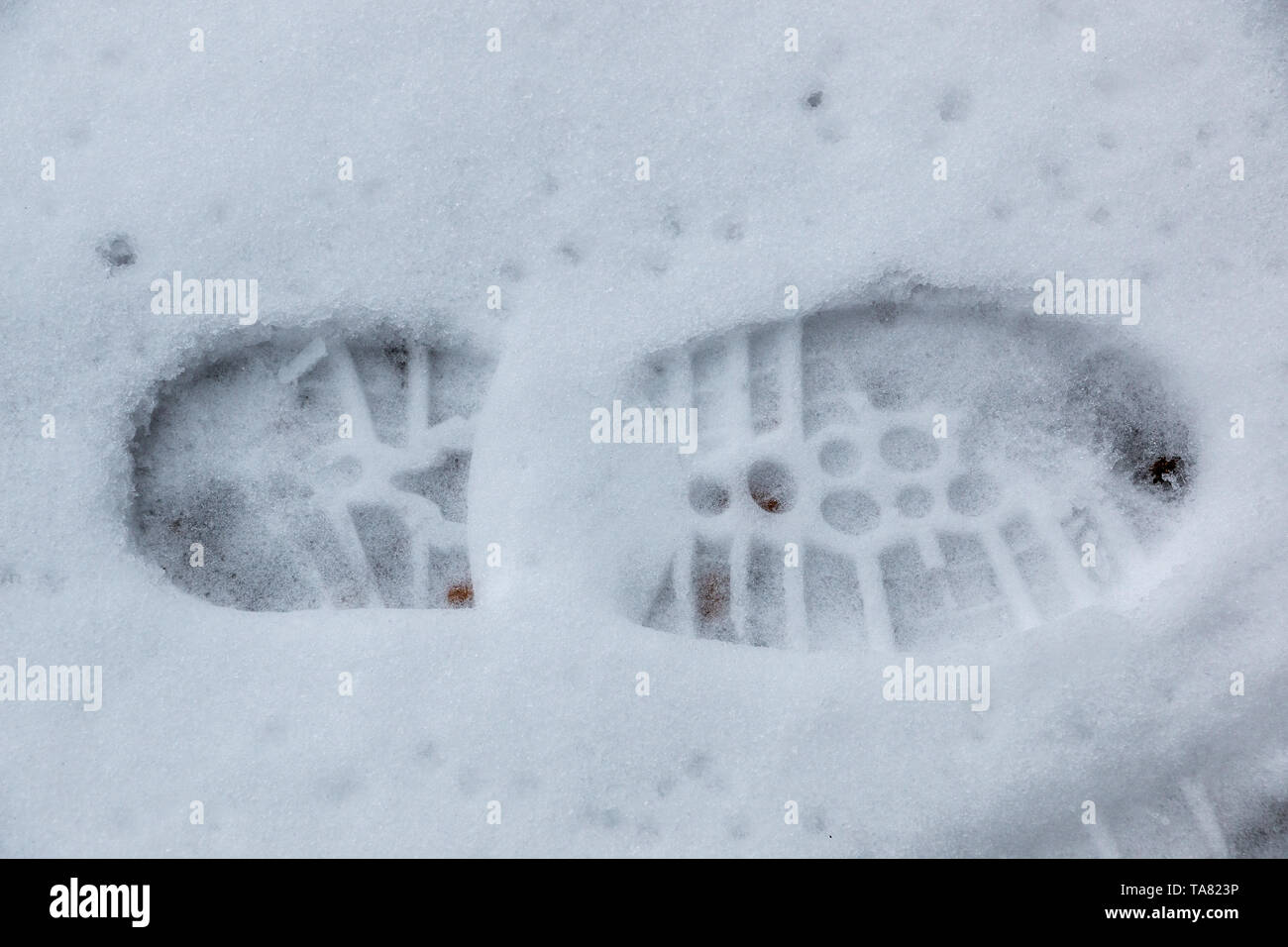 Foot print of a human shoe on the white snow Stock Photo - Alamy
