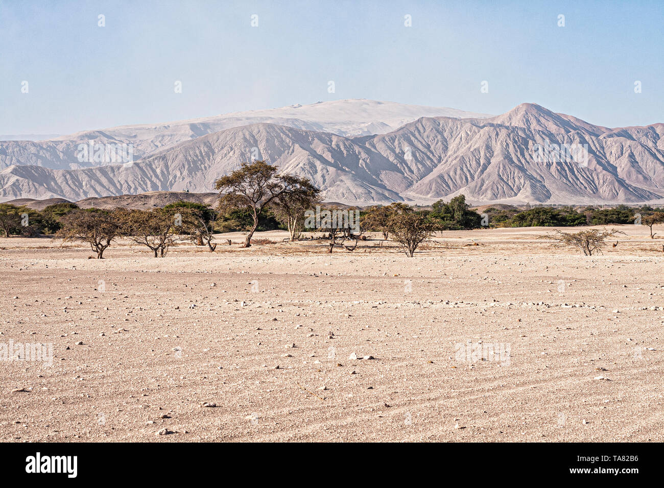 Arid environment at Peruvian desert. Nasca, Department of Ica, Peru ...