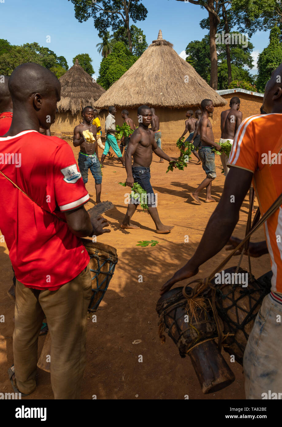 Dan tribe men dancing with leaves during a ceremony, Bafing, Gboni ...