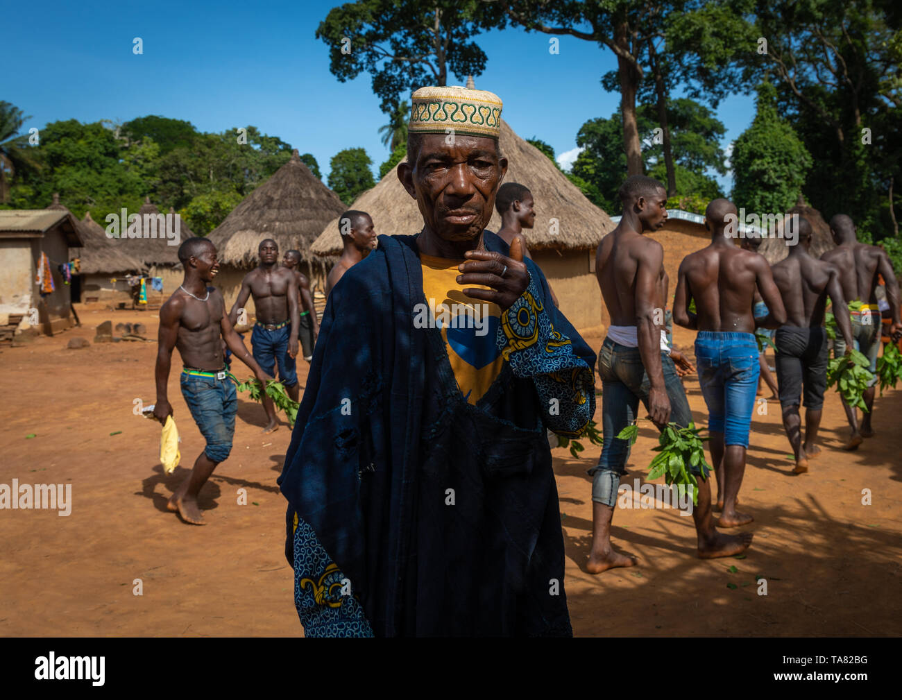 Dan tribe men dancing with leaves during a ceremony, Bafing, Gboni ...