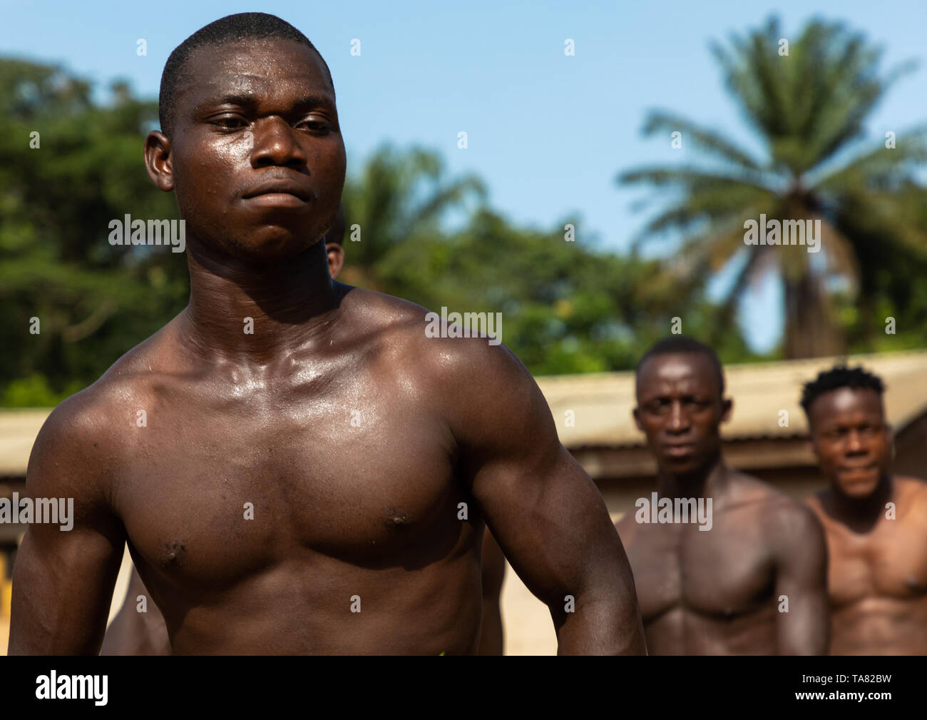 Dan tribe men dancing with leaves during a ceremony, Bafing, Gboni ...