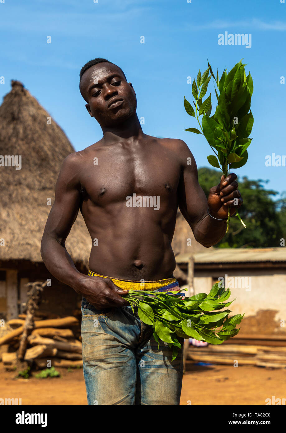 Dan tribe man dancing with leaves during a ceremony, Bafing, Gboni ...