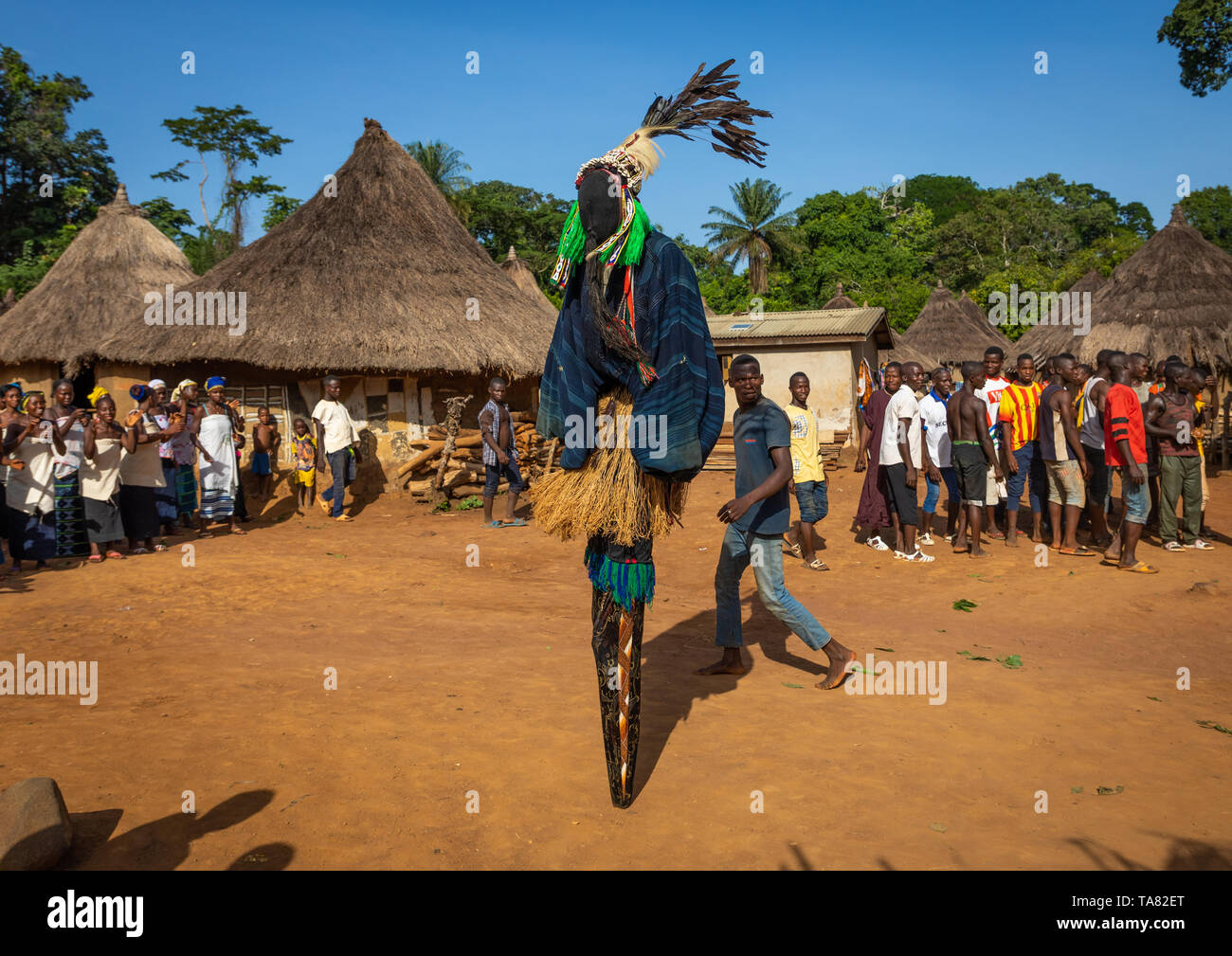 The tall mask dance with stilts called Kwuya Gblen-Gbe in the Dan tribe ...
