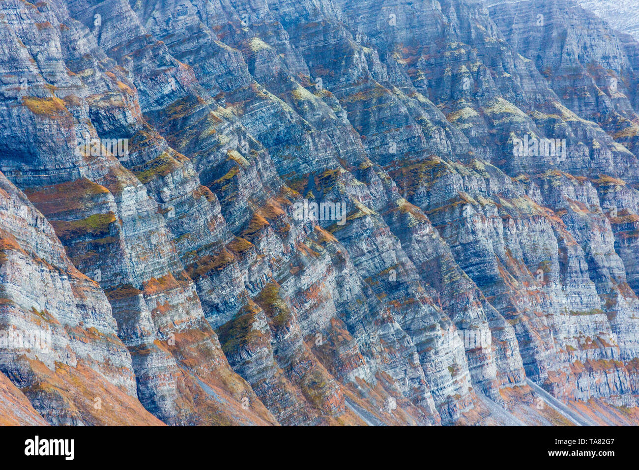 Billon year old jagged rock formations with different green moss and ...
