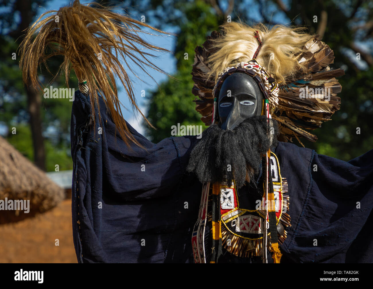 Ivory8602 hi-res stock photography and images - Alamy