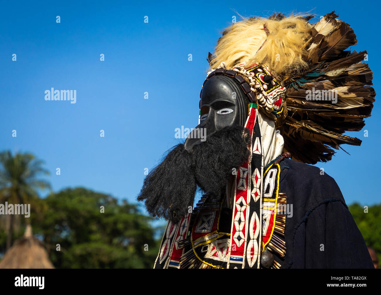 Dan tribe mask sacred dance during a ceremony, Bafing, Gboni, Ivory ...