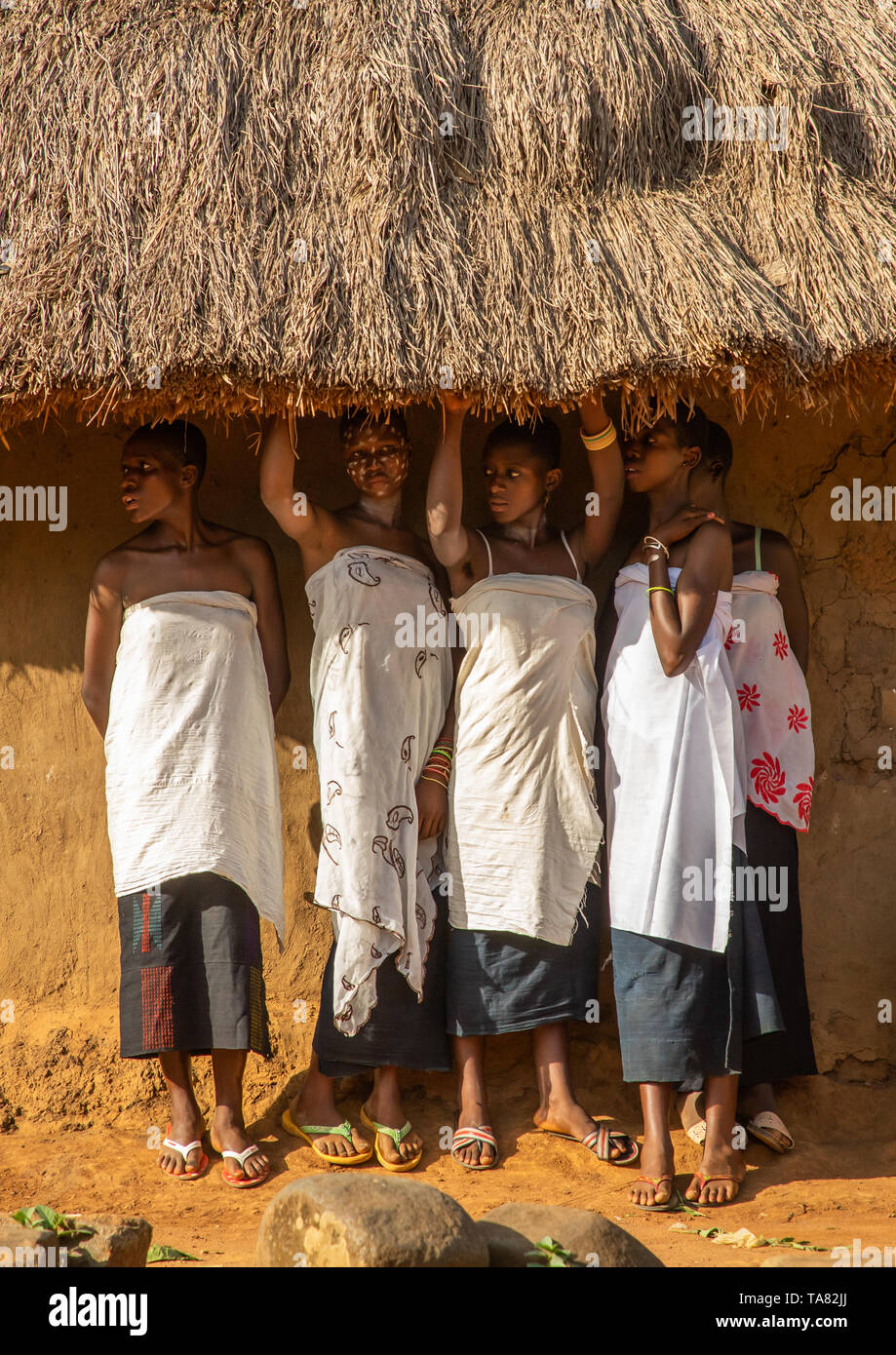 Dan tribe young women during a ceremony, Bafing, Gboni, Ivory Coast ...